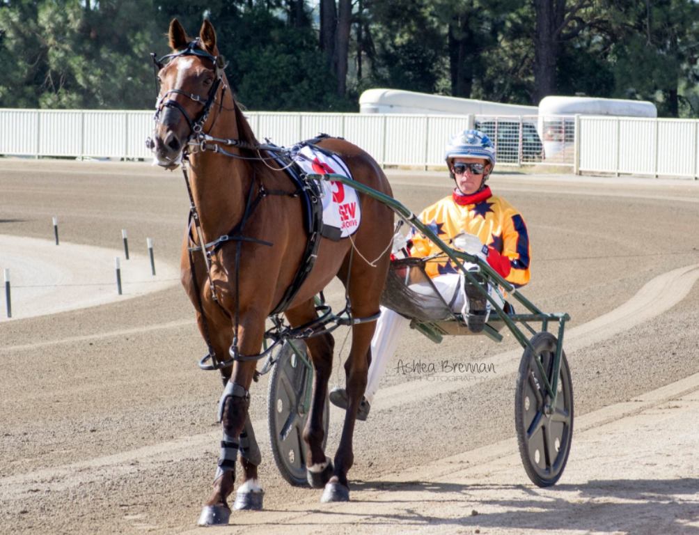 McCarthy eyes off another Renshaw Cup