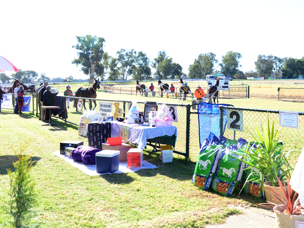 Cowra ready to shine