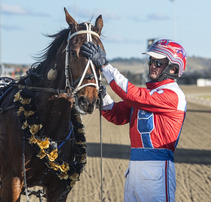 Paleface Adios Stakes draw