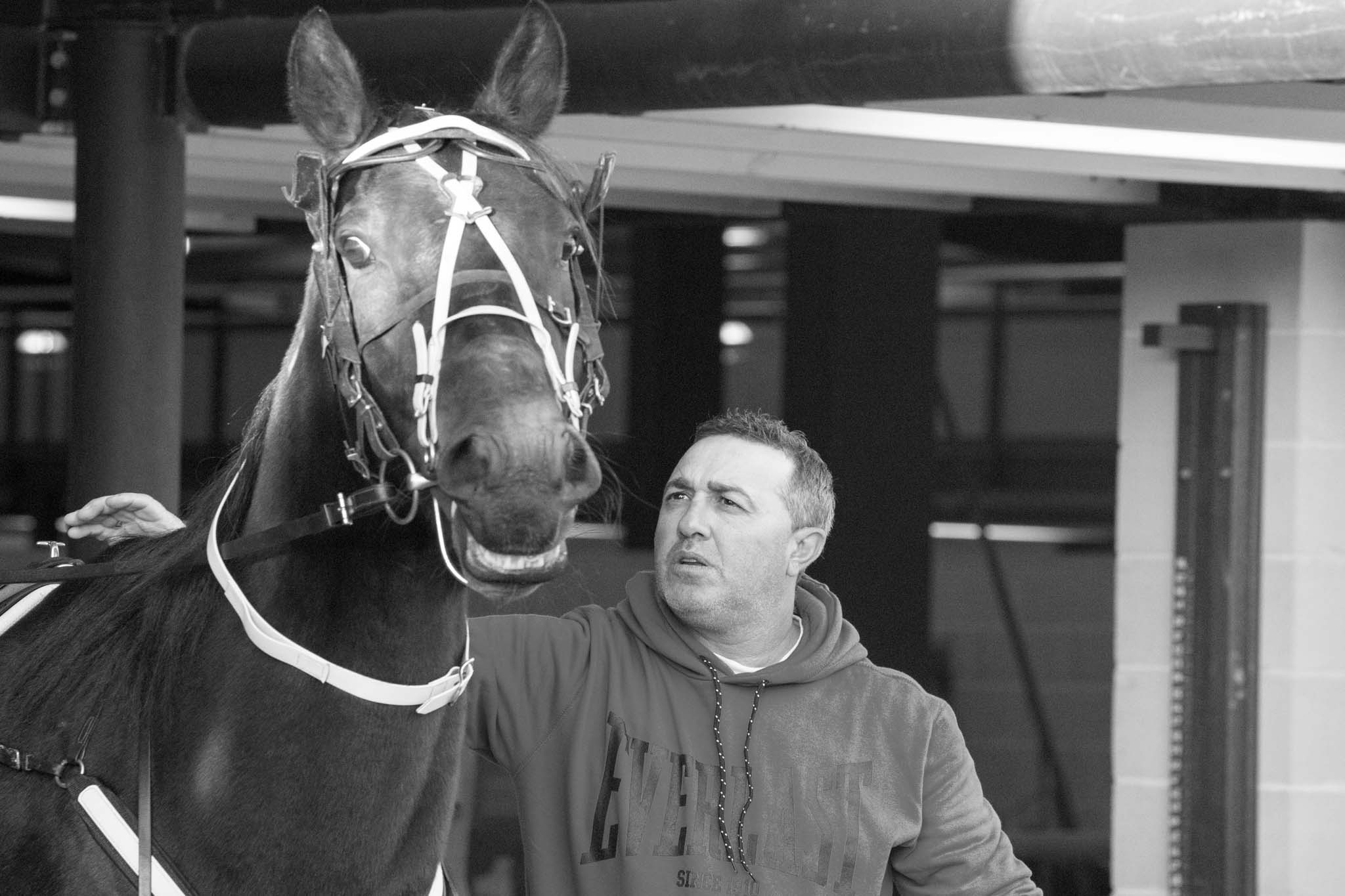 Pizzuto back in the spotlight