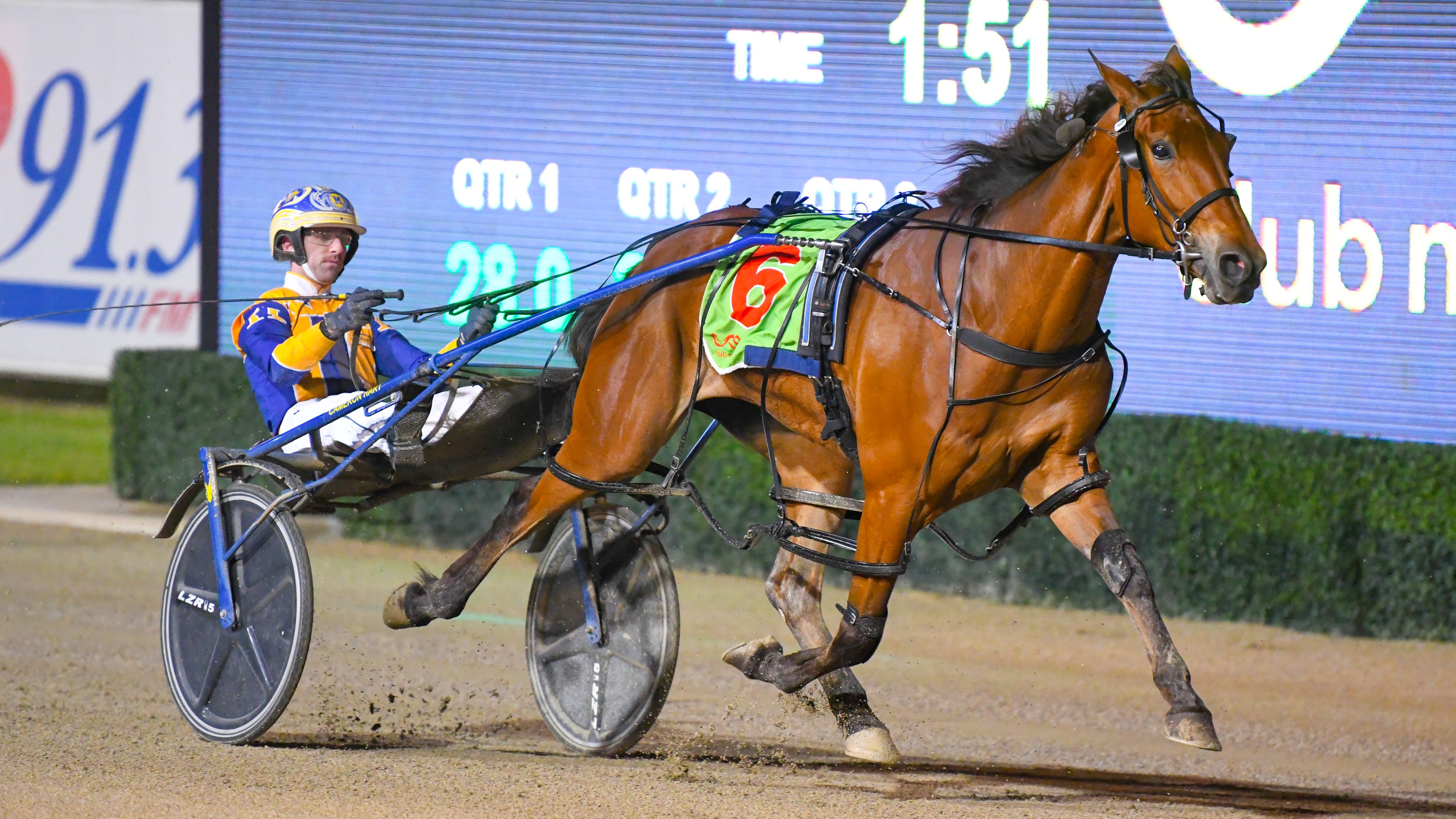 Madrid ready to make Riverina Championship her own