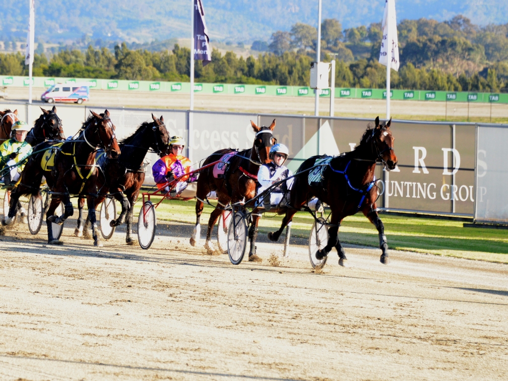 Catalogues available for Bathurst Gold Crown Yearling Sale