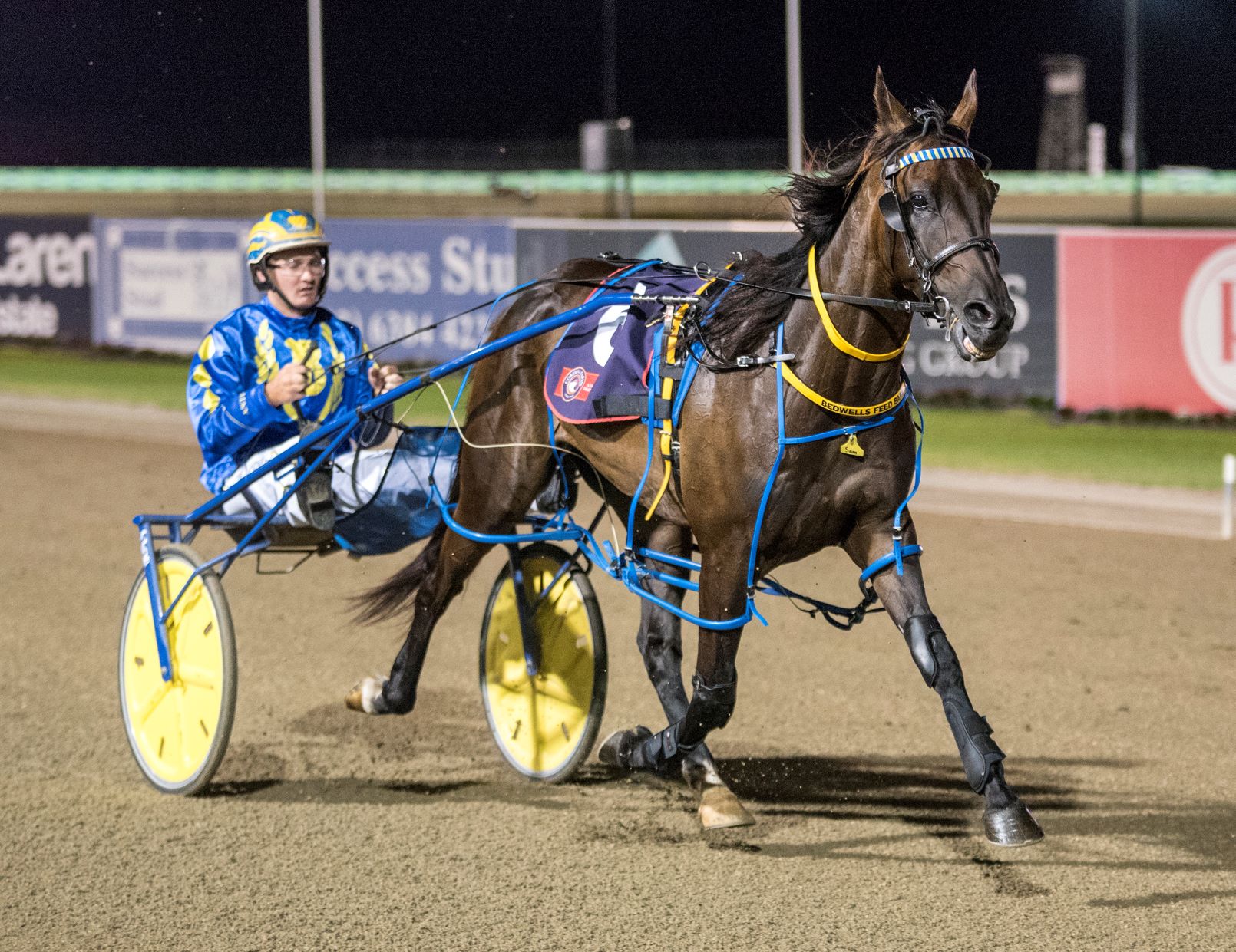 Parkes Horse of the Year comes down to the wire