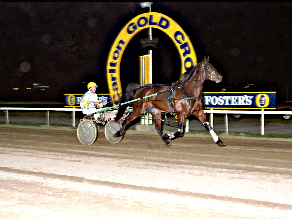 Bathurst Gold Crown Carnival In Full Swing