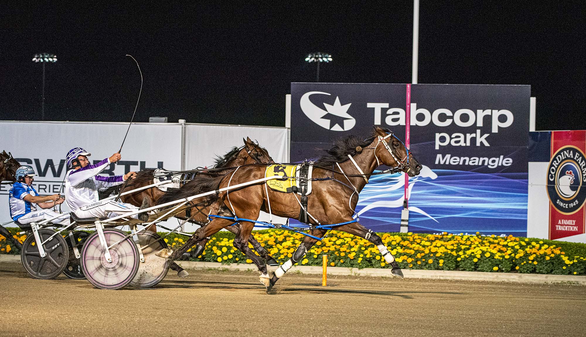 A Tasty Delight for connections