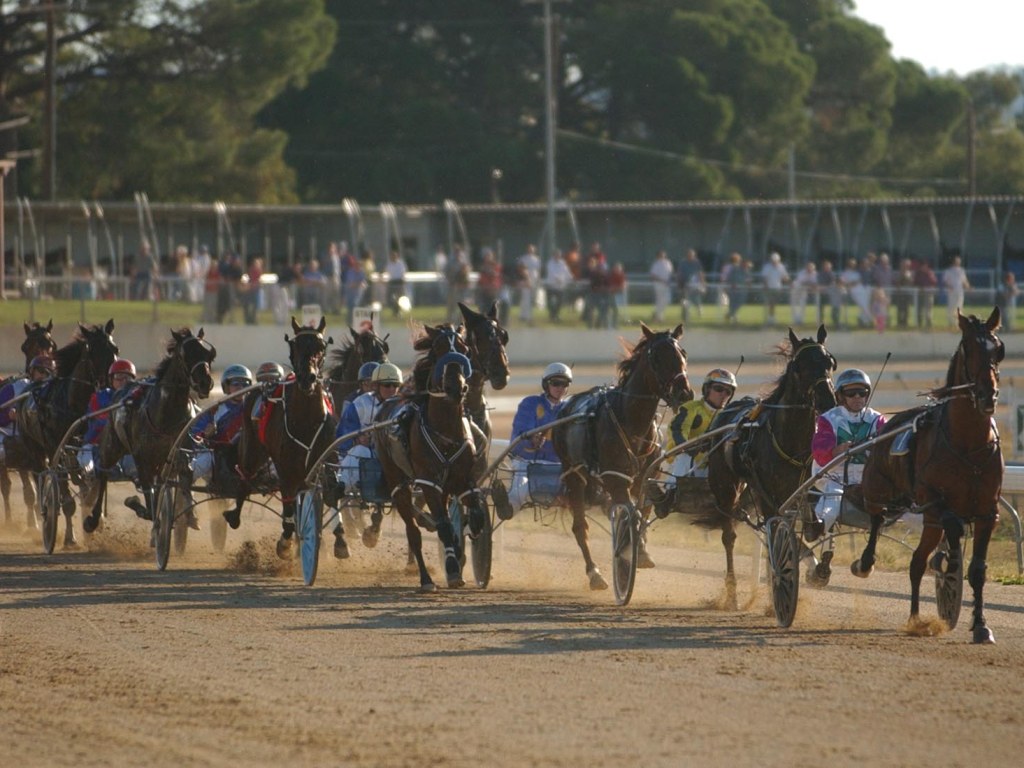 Wagga Harness Racing Club Newsletter – October 2015