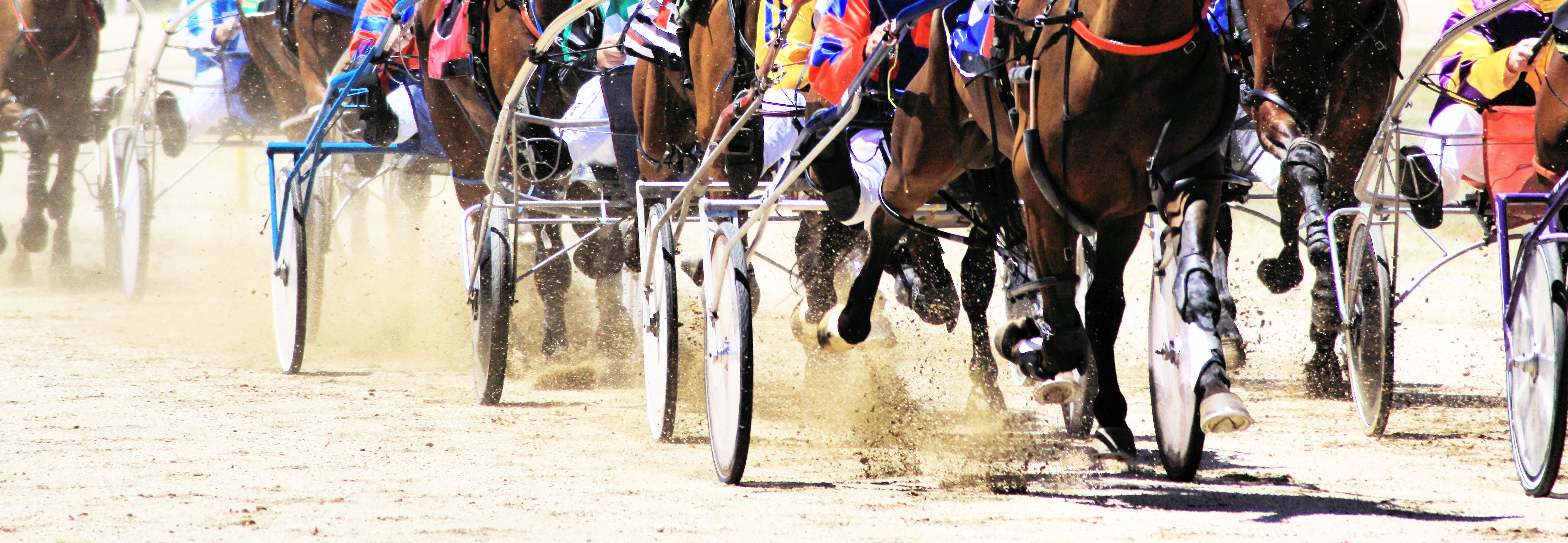 Harness Racing NSW leads the way with Insurance upgrade