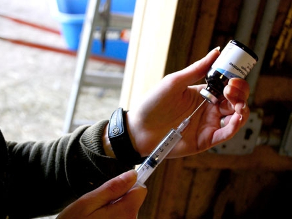 Important Rule Changes