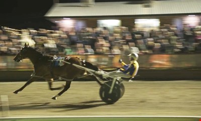 Trots TV | Harness Racing NSW